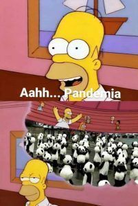 ¿Qué es un meme? Definición, significado, tipos, historia y trucos